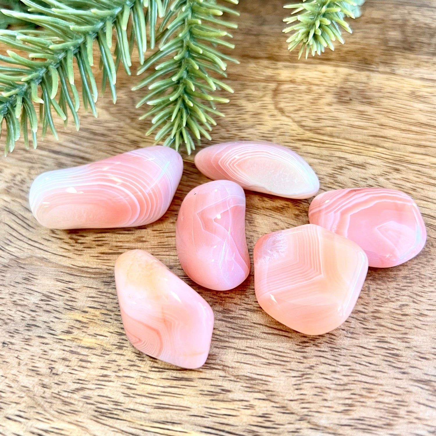 Crystal Tumbles – Moonlit Wilds